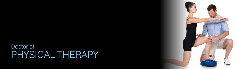 Doctor of Physical Therapy (DPT) - Graduate Studies | Stockton University